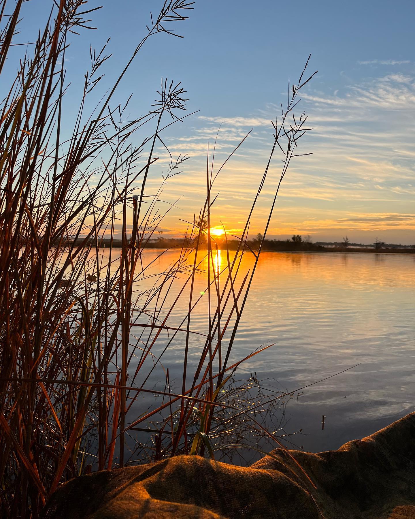 Andy & Me Company – Andy & Me Company